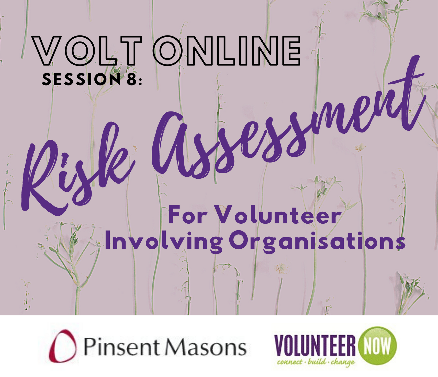 VOLT Session 8: Risk Assessment for Volunteer Involving Organisations ...