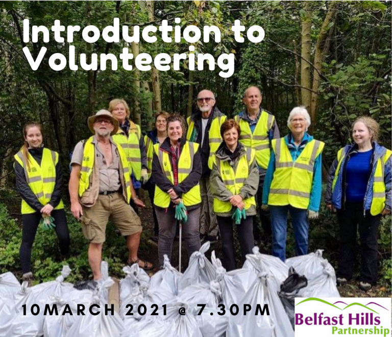Introduction to Volunteering Free Online Talk - Volunteer Now