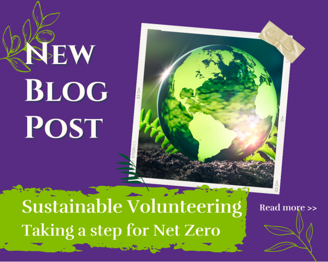 Sustainable Volunteering – Taking a Step for Net Zero - Volunteer Now