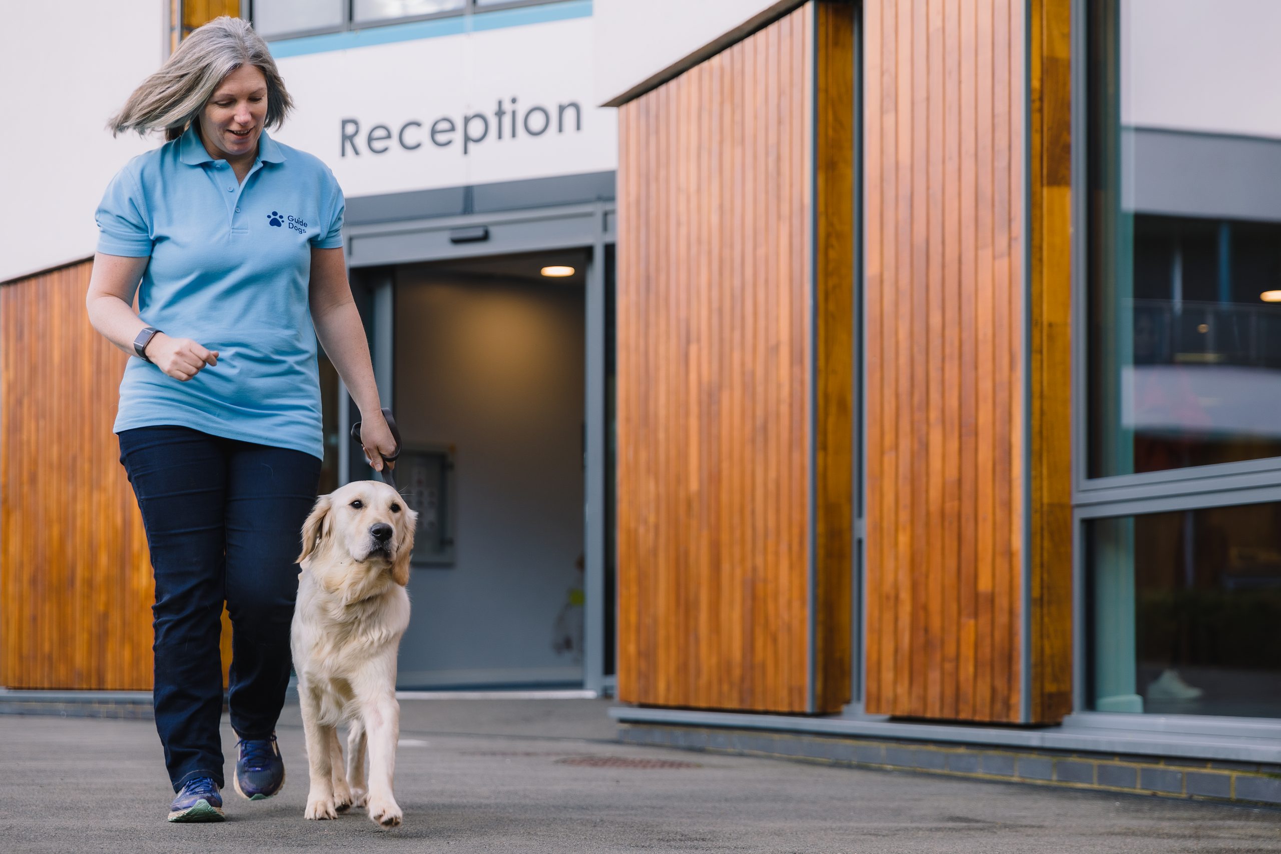 Guide Dogs NI needs your help in Antrim & Ballymena - Volunteer Now